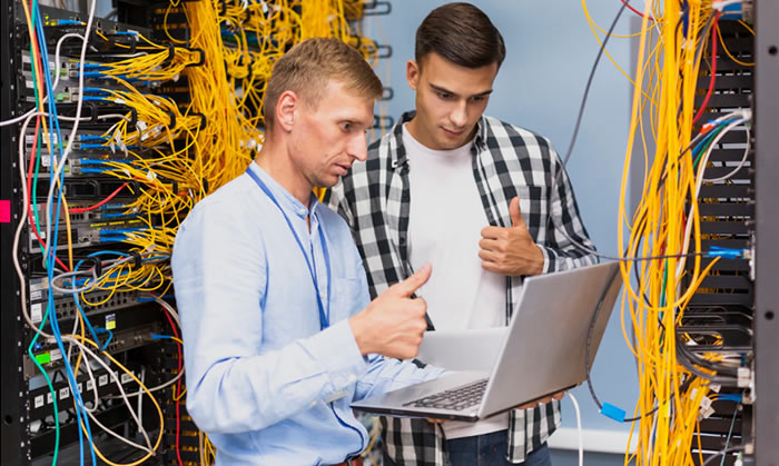 What does an IT manager do? | liontek